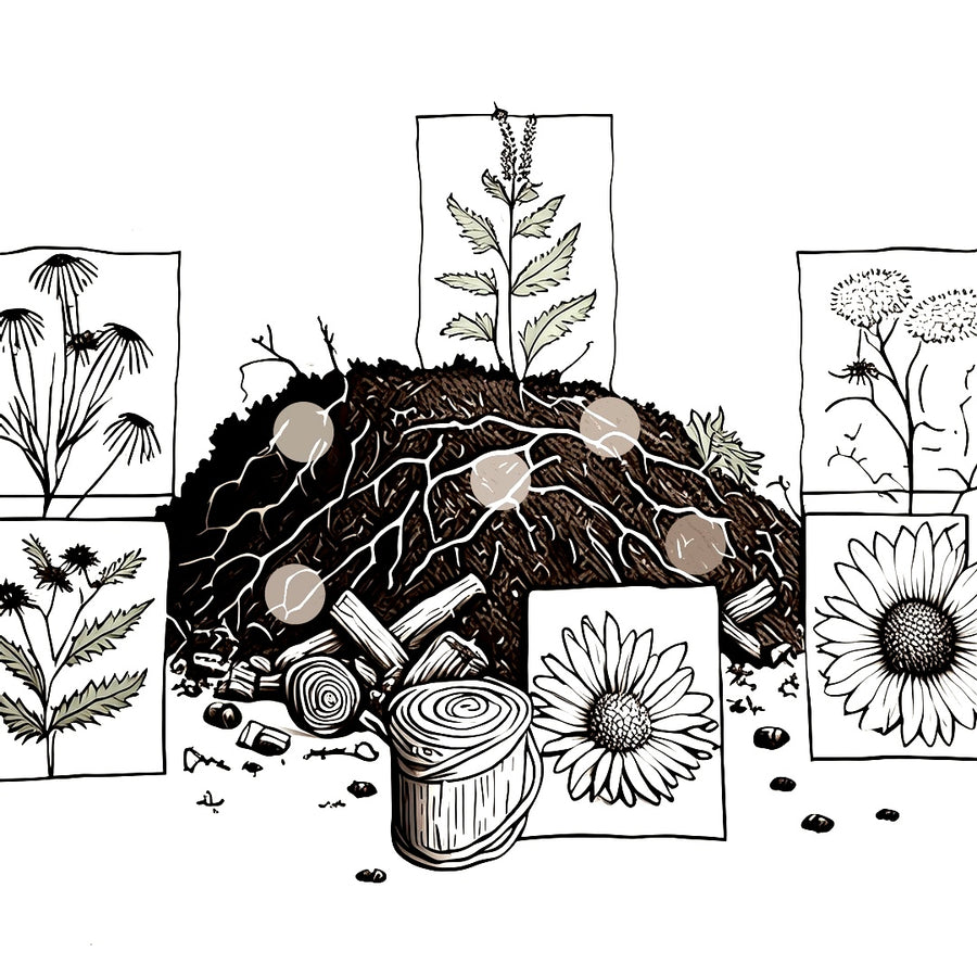 Josephine Porter Institute for Applied Biodynamics – The Josephine ...