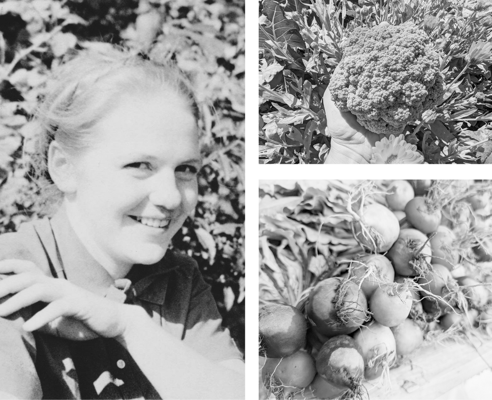 About Josephine Porter – The Josephine Porter Institute